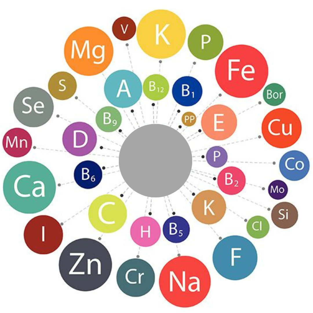 Micronutrients Explained: How Tiny Nutrients Shape Your Child’s Body ...